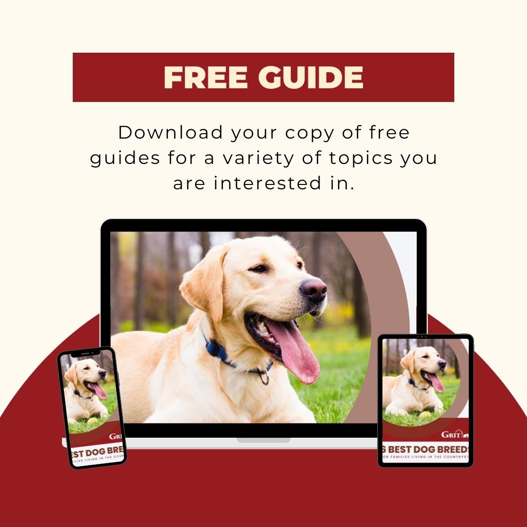 Free Guides from Grit Magazine - Grit Magazine